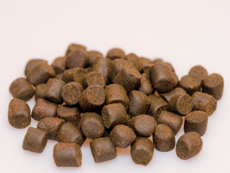 Trout – Specialised Aquatic Feeds